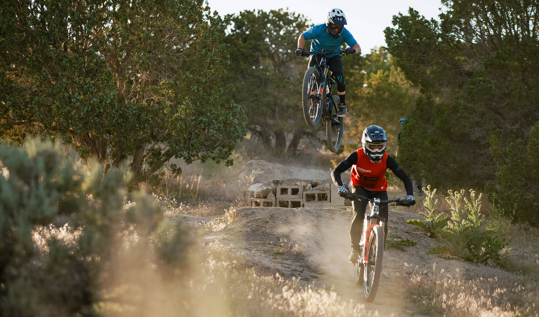 Tannus Tubeless Inserts